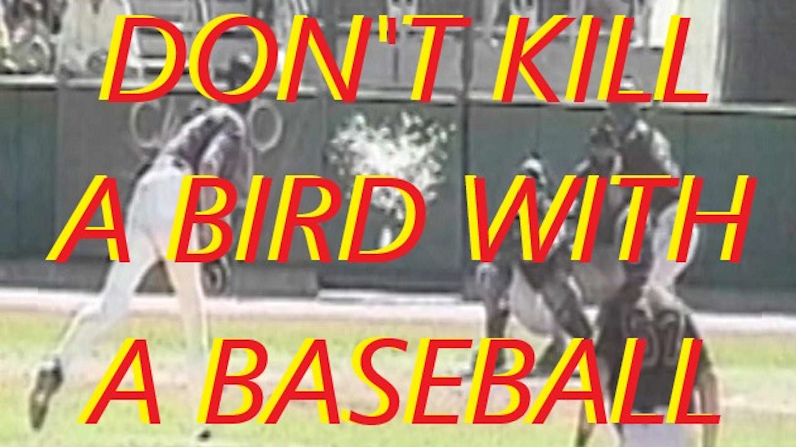 487 - Don't Kill A Bird With A Baseball with Tom Harrison (Anime Sickos ...